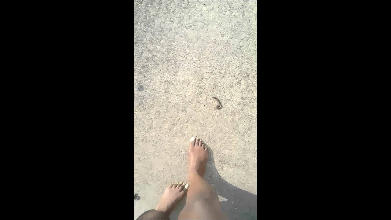 Barefoot crush (preview)