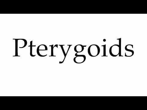 How to Pronounce Pterygoids