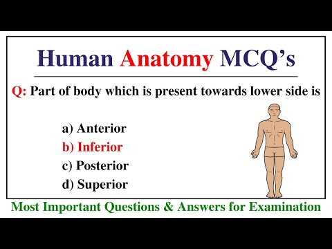 Anatomy And Physiology Quiz | Anatomy And Physiology Quiz Questions And Answers | Anatomy Quiz