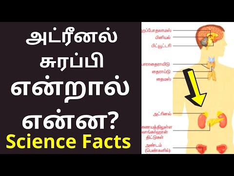 Latest Tamil Speech Videos 2025