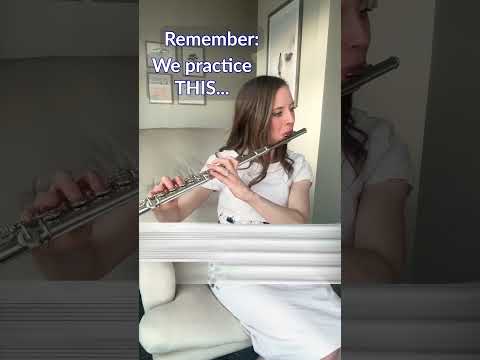 Would you do THIS to play THAT? 🪈🛝#100daysofpractice