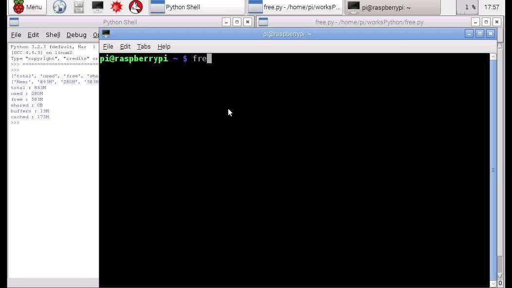 Python display memory usage on Raspberry Pi