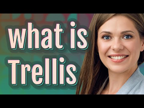 Trellis | meaning of Trellis