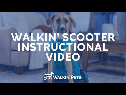 Walkin' Scooter Instructional Video
