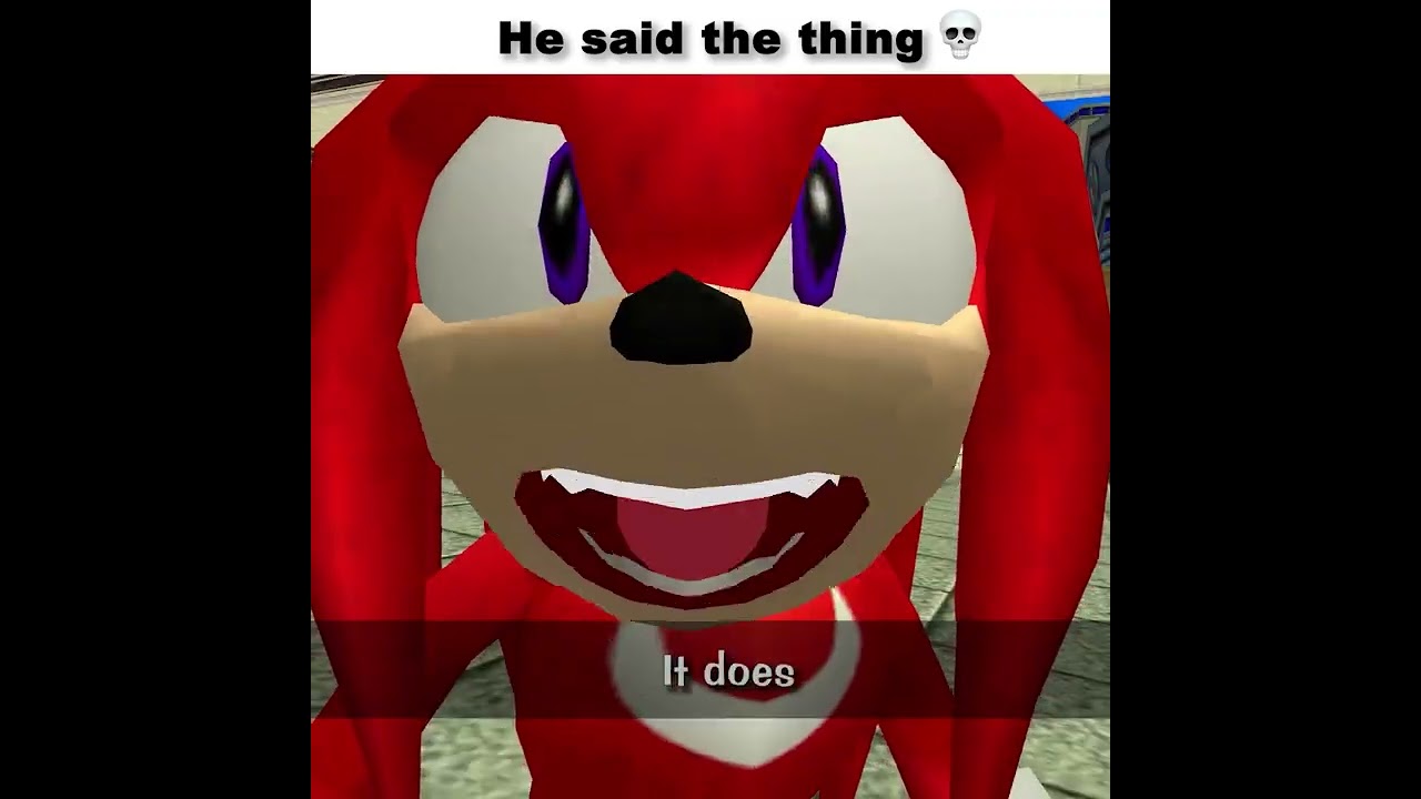 He's about to make an announcement #sonic #memes