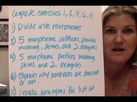 TSL 3080 Morpheme exercise