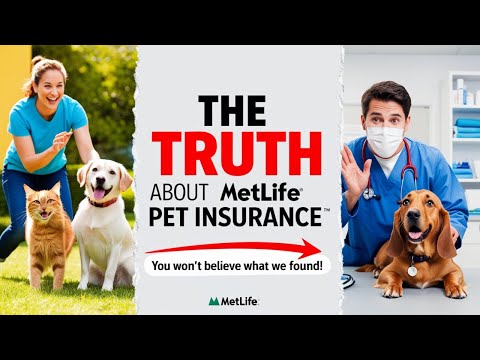 The Truth About MetLife Pet Insurance (Why It's Important!)