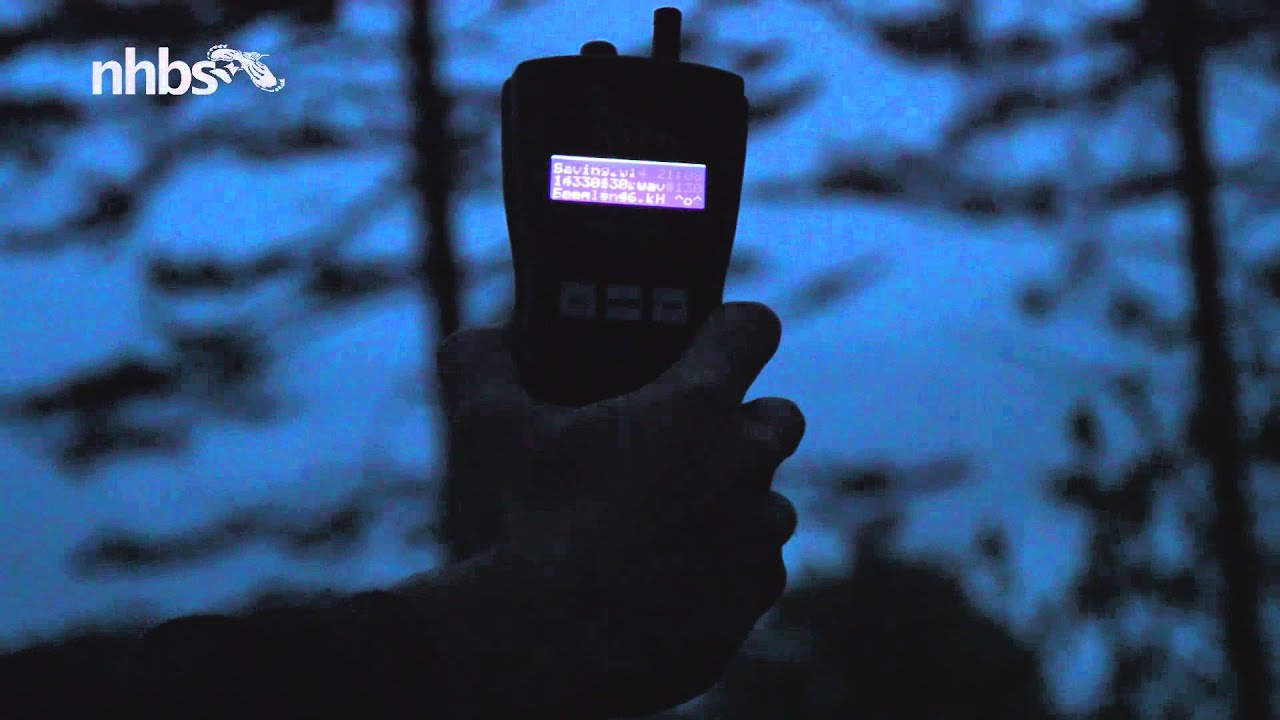 Bat detecting with the Elekon Batlogger M