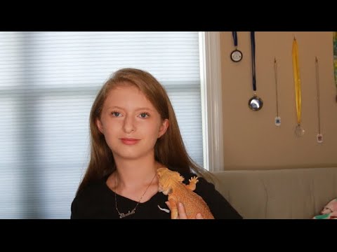 How much does owning a bearded dragon cost?