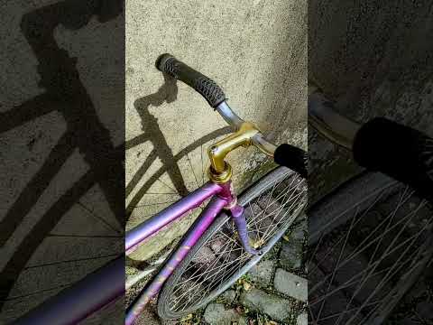 Ada yang Jepang tapi non NJS #fixedgear #fixie #trackbike #cyclist #fixedgearbikes