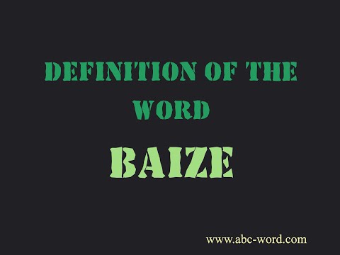 Definition of the word "Baize"