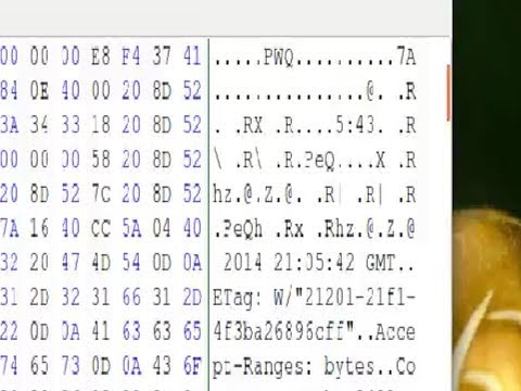 Bless Hex Editor: Seeing Beyond the Bytes