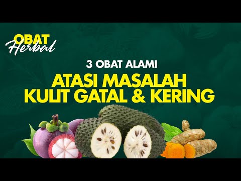 Obat Alami Gatal Pada Kulit dan Bisa untuk Alergi