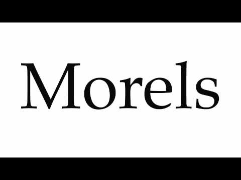 How to Pronounce Morels