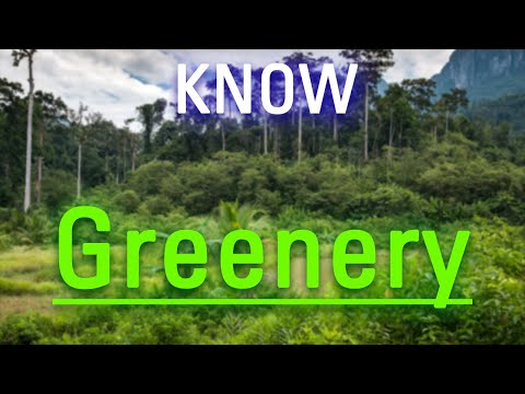 How Does Greenery Look? | What is Greenery? | How to Say Greenery in English?
