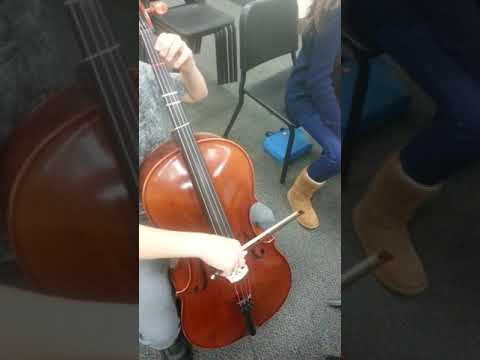 What does the cello say?