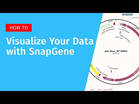 Visualize Your Data with SnapGene