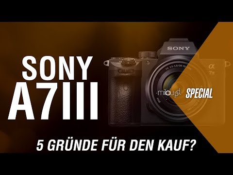 Warum die Sony A7iii kaufen? 5 Pros der A7III | Milou PD FOTONEWS