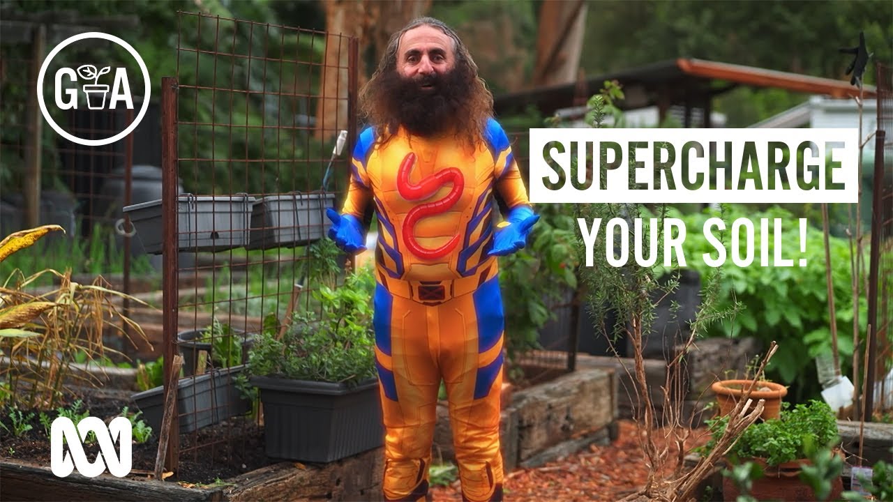 How to Supercharge Your Soil | Growing Fruit and Vegies | Gardening Australia