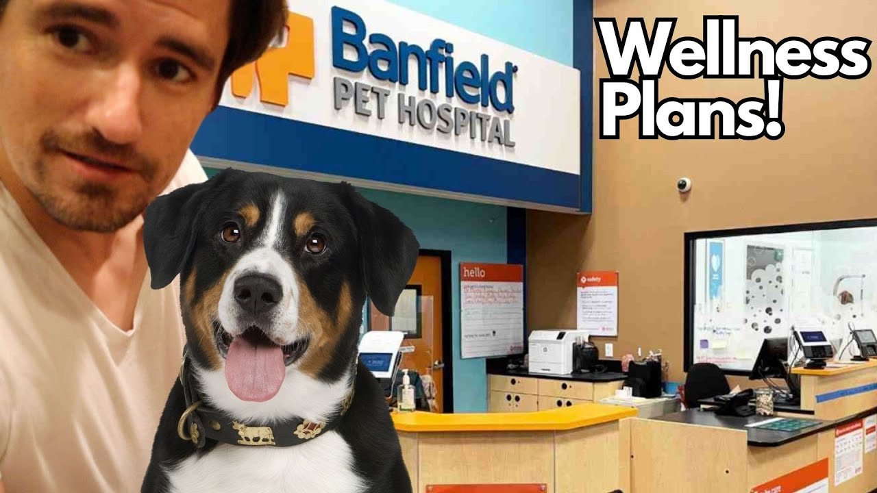 What is Preventive Care and Wellness Plans for Dogs and Cats?