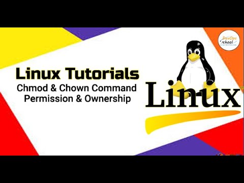 Linux Tutorials: Chmod & Chown command: Permission & Ownership