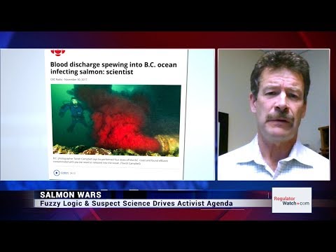 SALMON WARS | FUZZY LOGIC & SUSPECT SCIENCE DRIVES ACTIVIST AGENDA