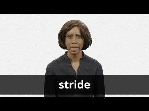 STRIDE 释义 | 柯林斯英语词典