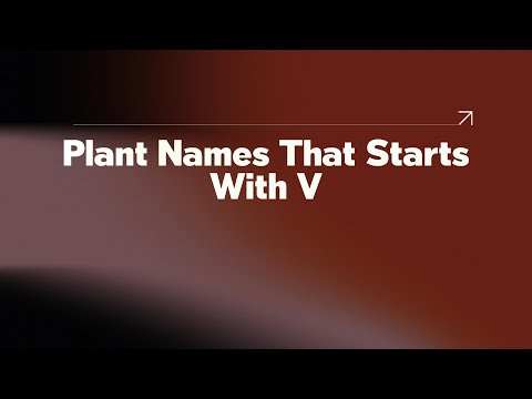 Plant Names That Starts With V