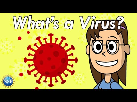 What's a Virus? Science For Kids