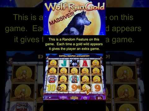 SHOCKINGLY MASSIVE WIN on WOLF RUN GOLD SLOT MACHINE #casino #slots #gambling #casinopauma