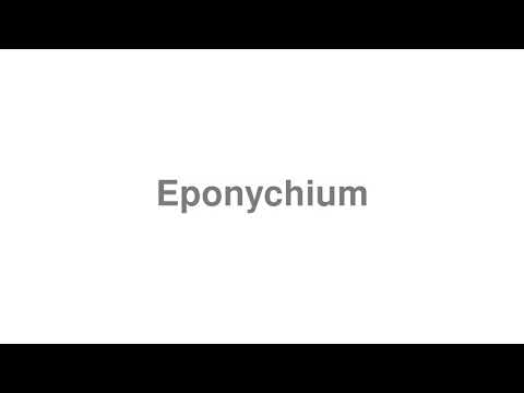 How to Pronounce "Eponychium"