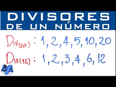 Divisibilidad – Matemáticas Profe Alex