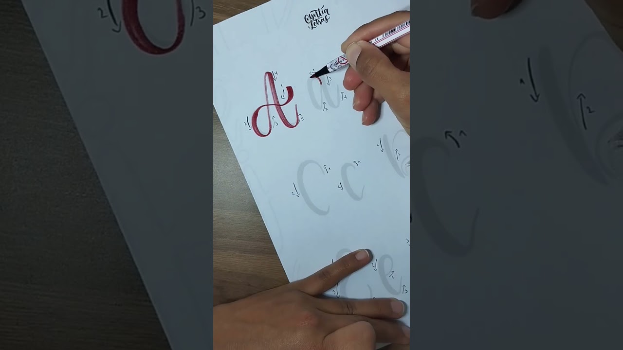 Paso a paso letras 