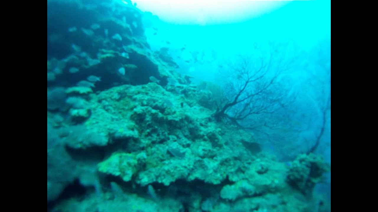 Diving in Anse Chastanet, St Lucia, May 2011