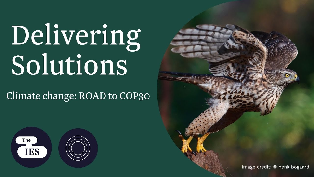 ROAD to COP30: Delivering solutions