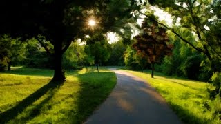 3 Best Public Parks in Waterloo, ON - Expert Recommendations