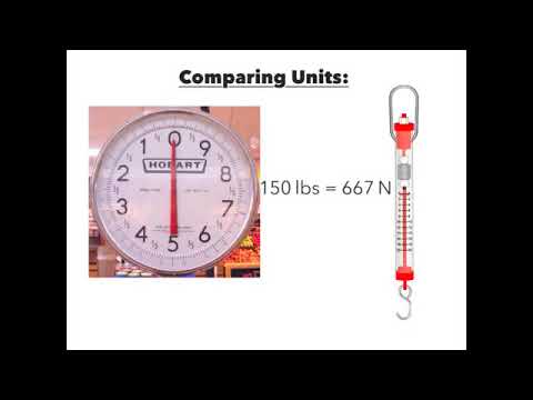 Using a Spring Scale