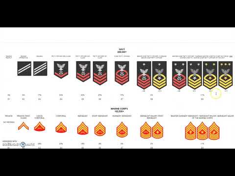 US Military Insignia of Rank