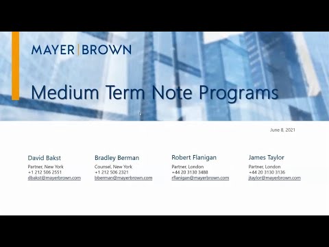 Medium-Term Note Programs