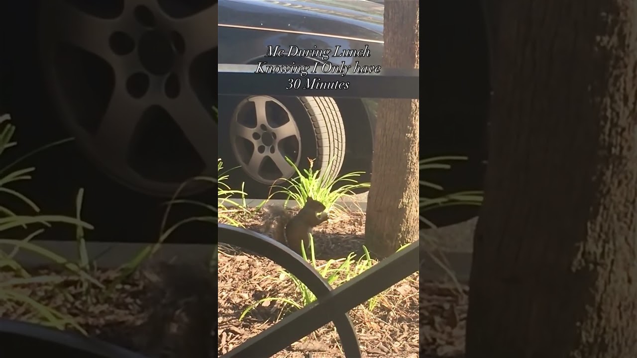 1160a216503243c99a92674e981649d0