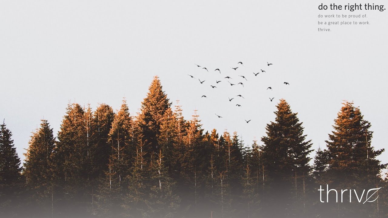 Thrive Renovation Video