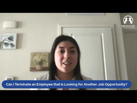 HR Question of the Week - Can I Terminate an Employee Who Is Seeking Another Job?