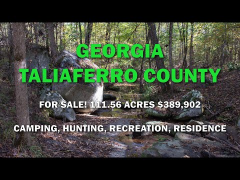 For Sale! 111.56 acres in Taliaferro County, Georgia near Athens! See details below in description!