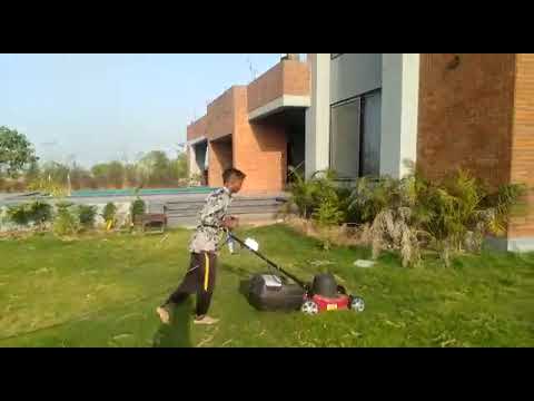 Heavy Duty Steel Body Electric Lawn Mowers - Self Propelled Rotary Lawn ...