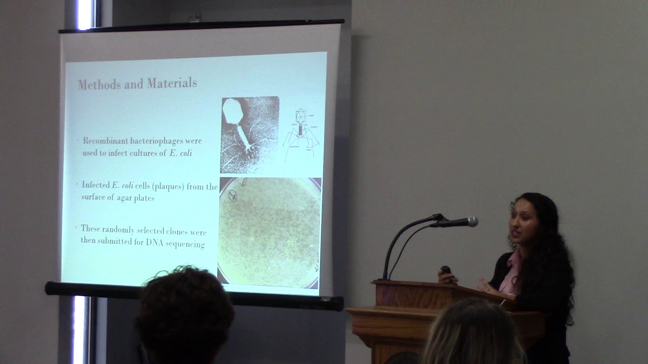 Isolation and Characterization of a Venom Protein (Mariana Alvarez)