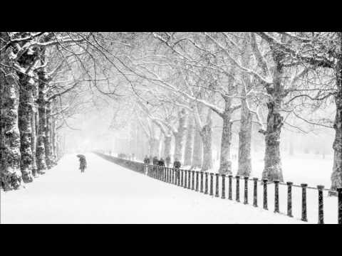 Desktop Wallpapers Black And White Christmas Park Wallpaper