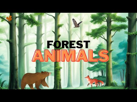 Forest Animals 🐻 🌲🦉 - Read Aloud, Read Along 🎶 Short Story