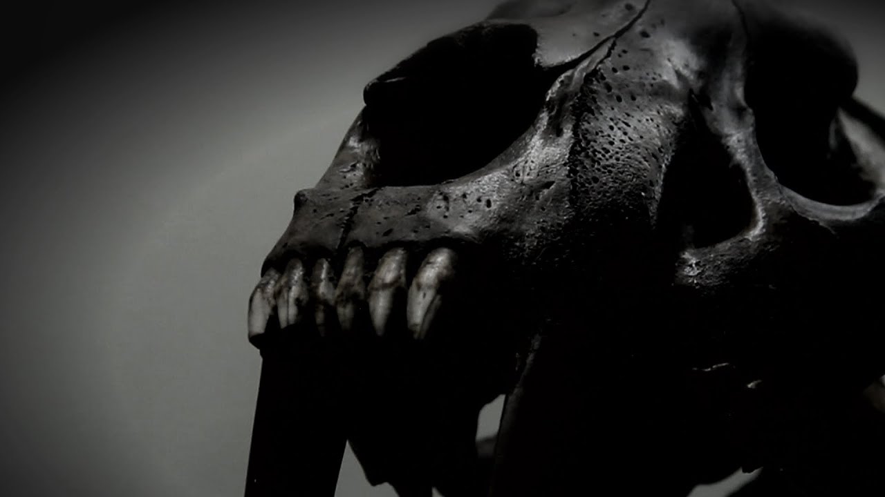 Tar Noir: Paleoforensics at the La Brea Tar Pits