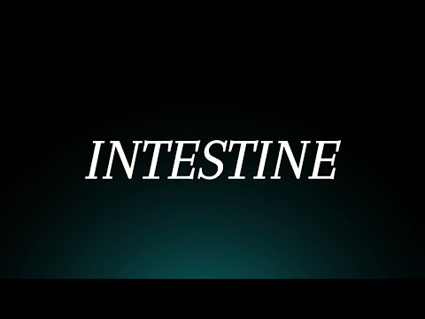 Learn How to Pronounce 'Intestine'! Correctly (Medical Term Pronunciation)