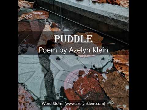 Puddle